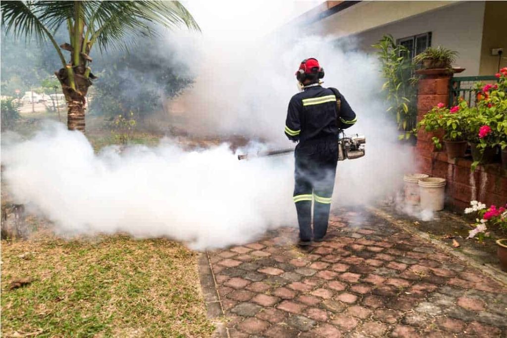Pest Control in McBaine, MO | Nature Shield Pest Solutions